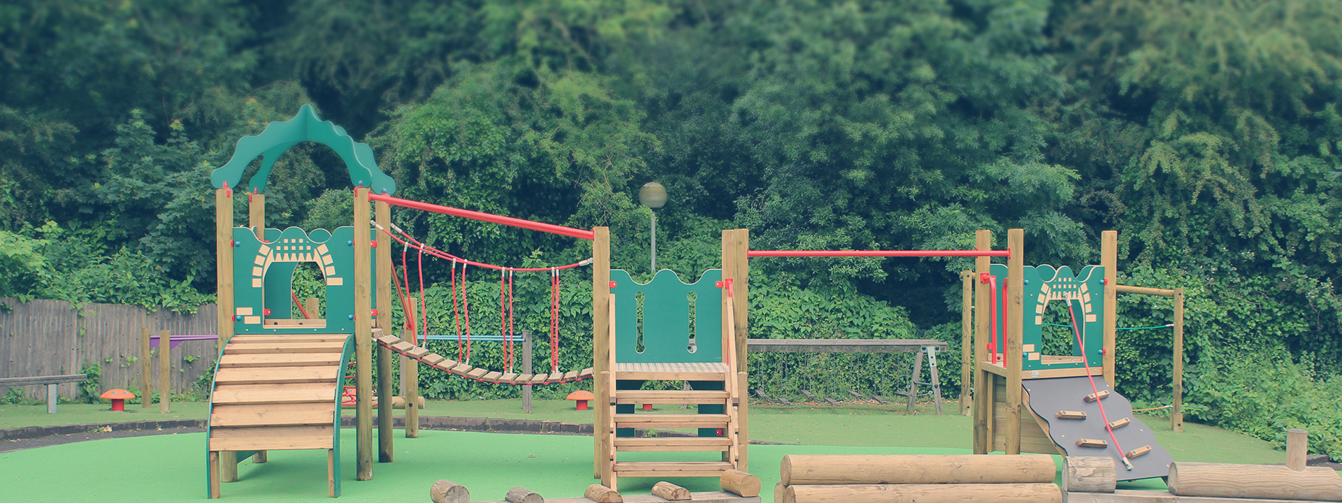 Inspiring Young Minds - Setter Play